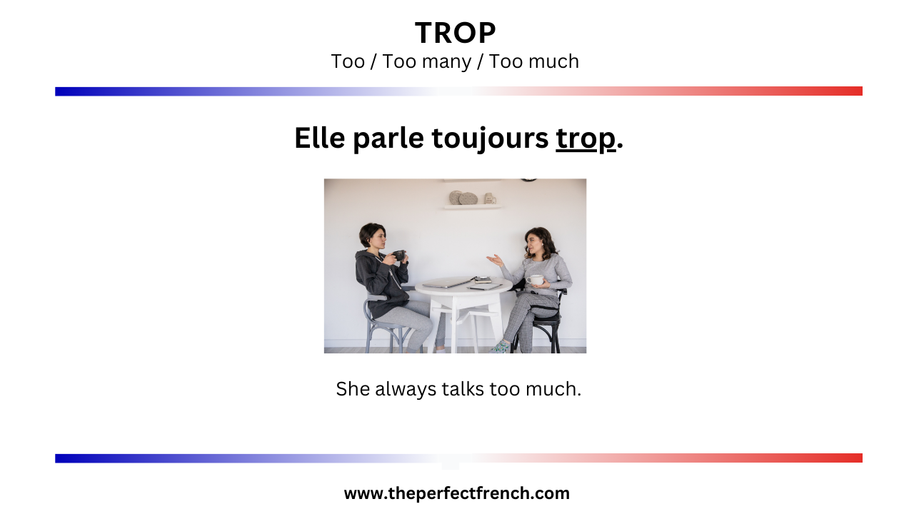 French Word of the Day - Trop (Too/Too Many/Too Much) - French Online ...