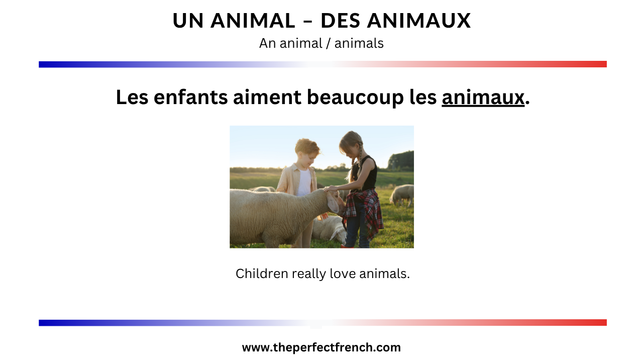 French Word of the Day - Un animal/Des animaux (An Animal/Animals ...
