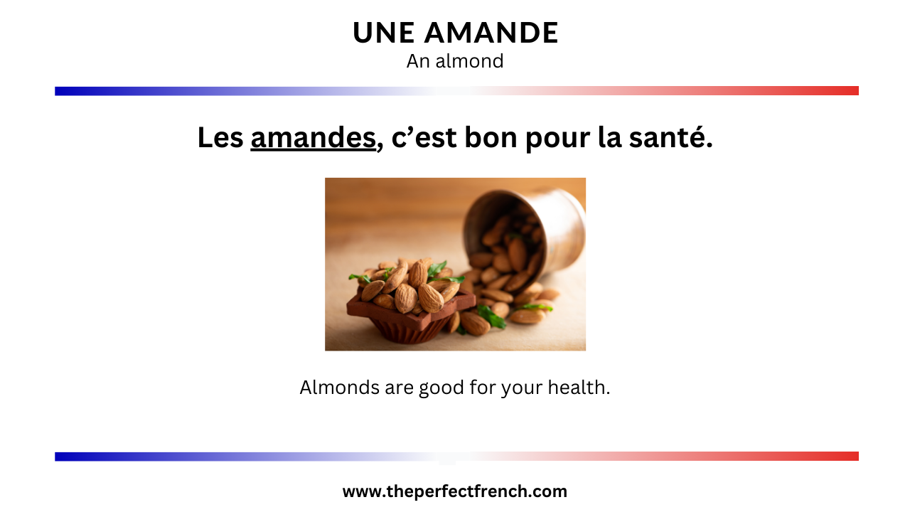 French Word of the Day - Une amande (An Almond) - French Online ...