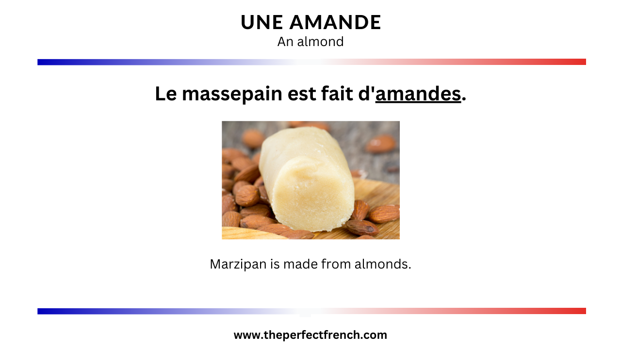 French Word of the Day - Une amande (An Almond) - French Online ...