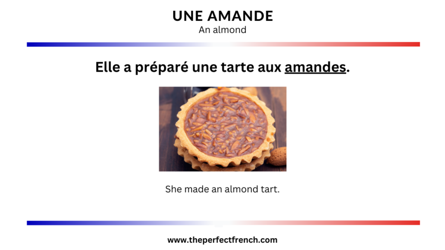 French Word of the Day - Une amande (An Almond) - French Online ...