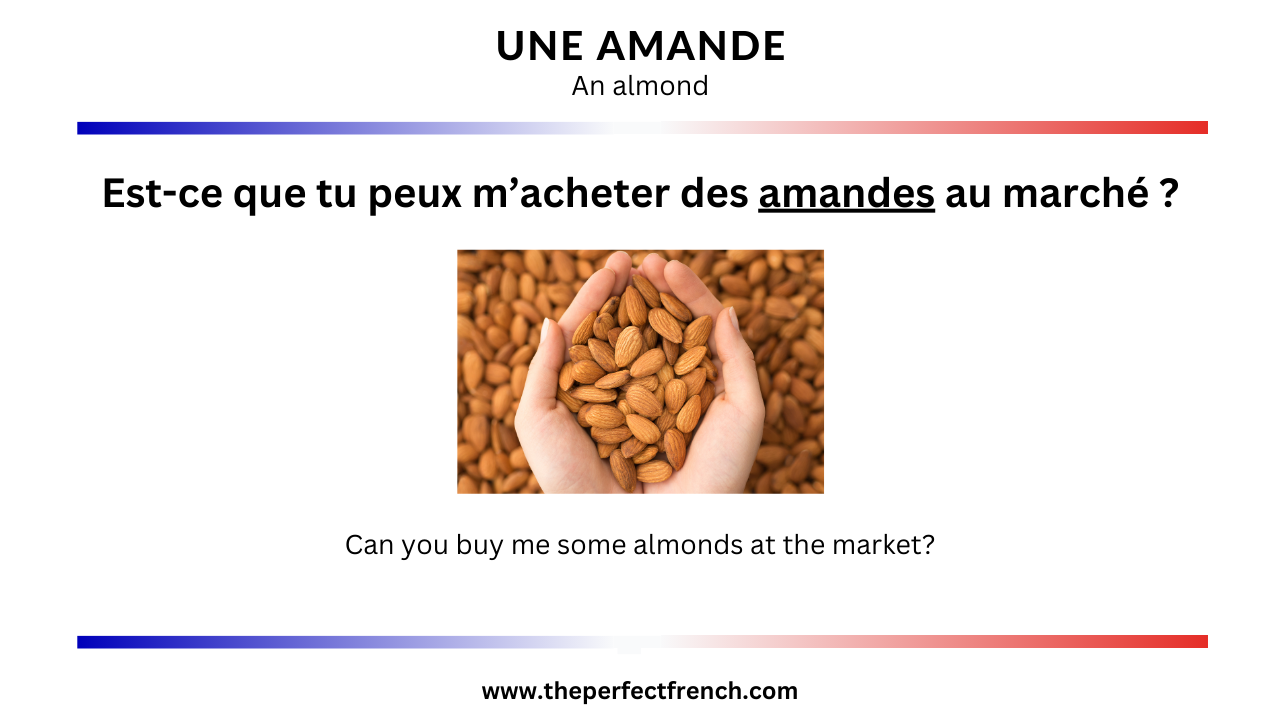 French Word of the Day - Une amande (An Almond) - French Online ...