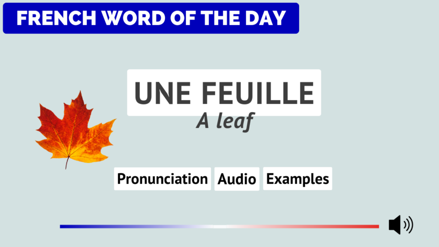 French Word of the Day - Une feuille (A Leaf) - French Online Language ...
