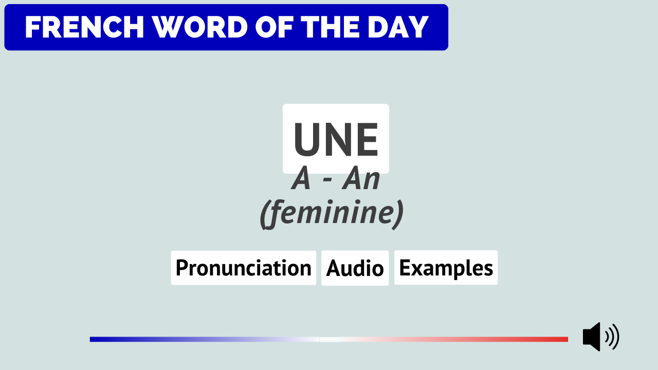 French Masculine Nouns Ending in IER - French Online Language Courses ...