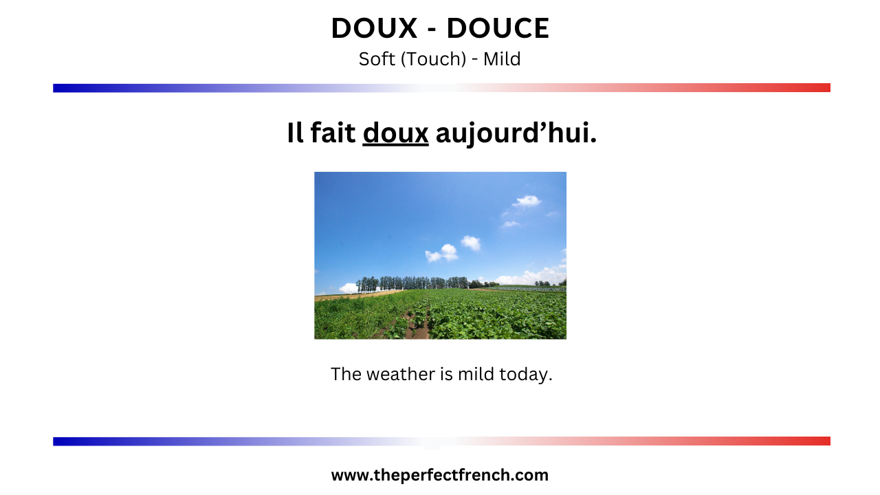 French Word of the Day - Doux - Douce (Soft/Mild) - French Online ...