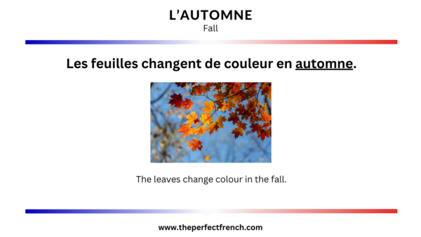 French Word of the Day - L’automne (Fall) - French Online Language ...