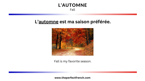 French Word of the Day - L’automne (Fall) - French Online Language ...