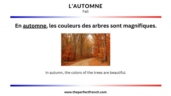 French Word of the Day - L’automne (Fall) - French Online Language ...