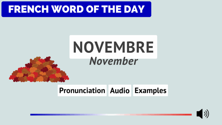 French Word of the Day - Novembre (November) - French Online Language ...