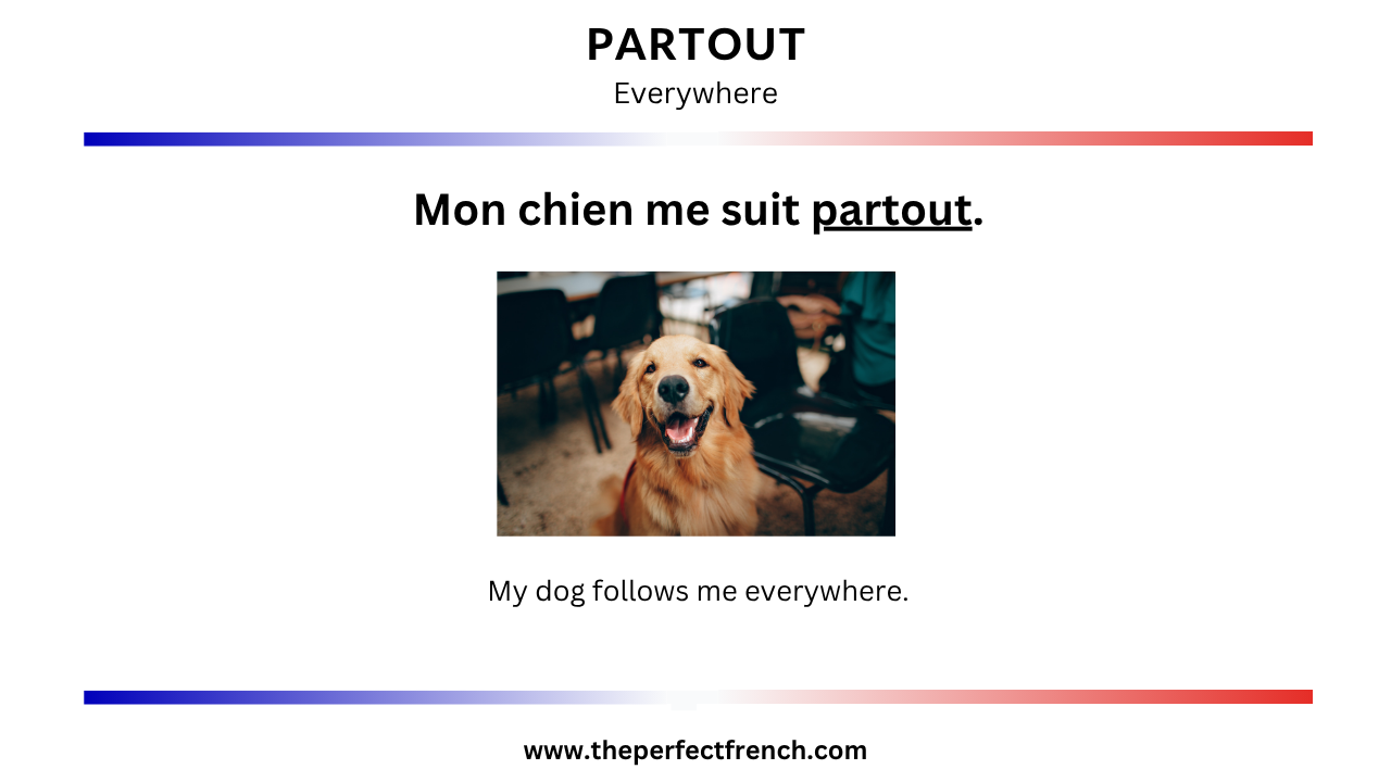 French Word of the Day - Partout (Everywhere)