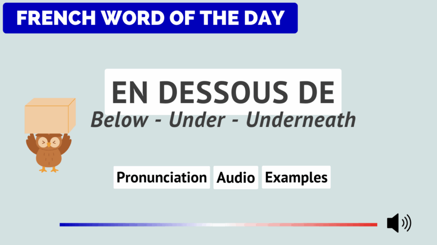 French Partitive Articles - Du, De la, De l’, Des