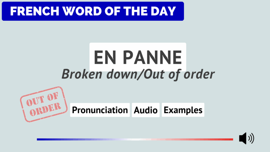 French Feminine Nouns Ending in TÉ – TIÉ - French Online Language ...