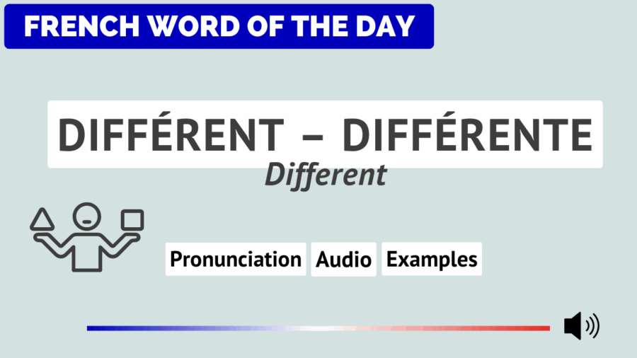 French Word of the Day - Différent - Différente (Different)