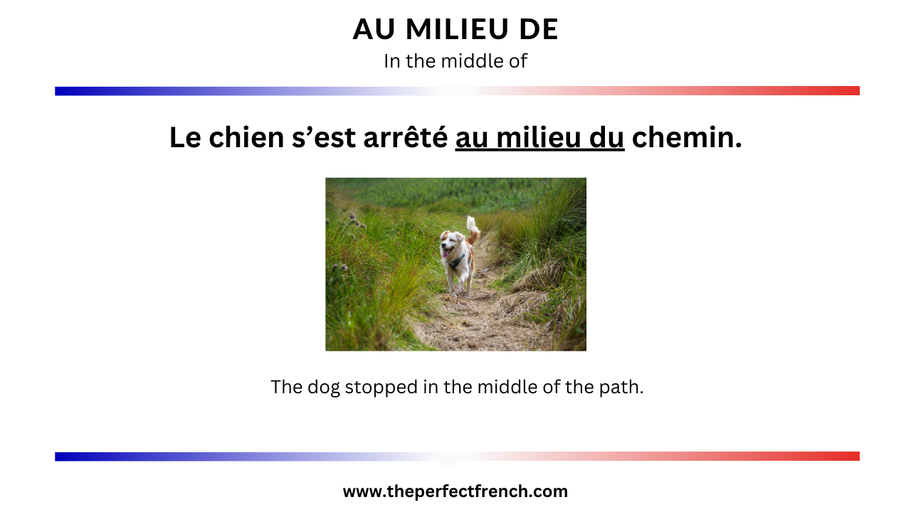 French Word of the Day - Au milieu de (In The Middle Of)