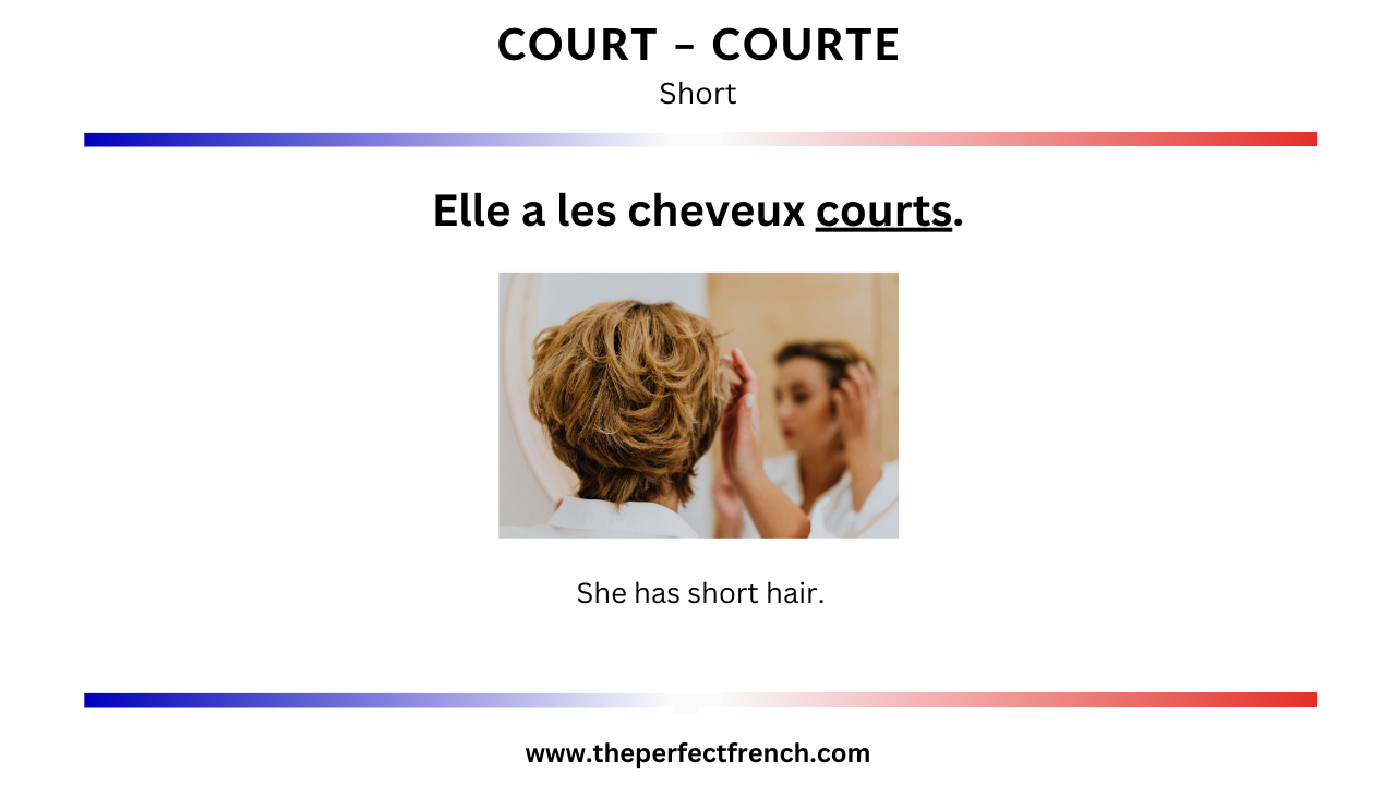 French Word of the Day - Court - Courte (Short)