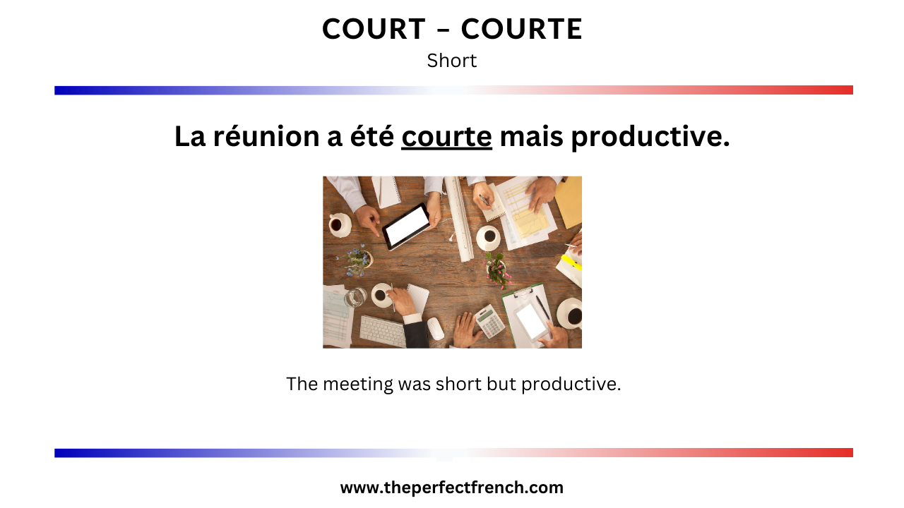 French Word of the Day - Court - Courte (Short)