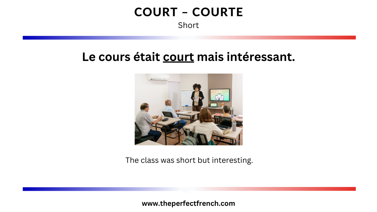 French Word of the Day - Court - Courte (Short)