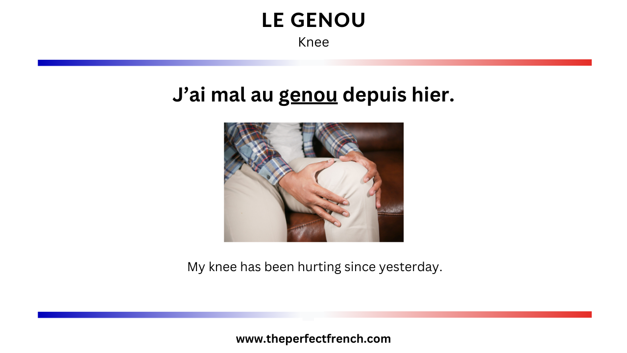 French Word of the Day - Le genou (Knee)