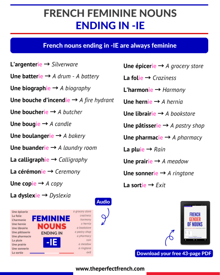 French Feminine Nouns Ending in IE - French Online Language Courses ...