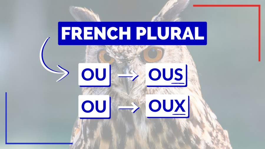 The Pronoun Y in French - French Online Language Courses | The Perfect ...