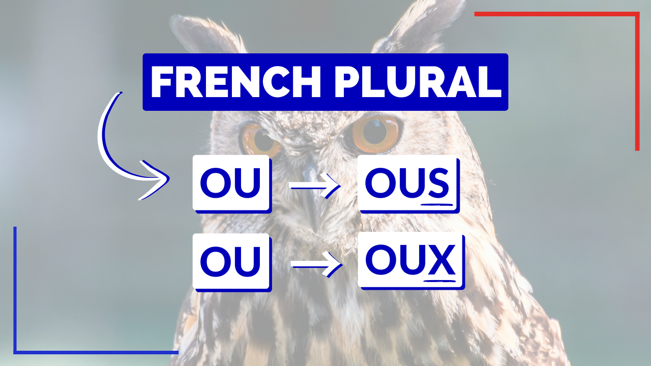French Word of the Day - Souvent (Often) - French Online Language ...