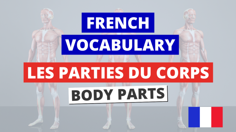 French Vocabulary: Les parties du corps - Body parts - French Online ...
