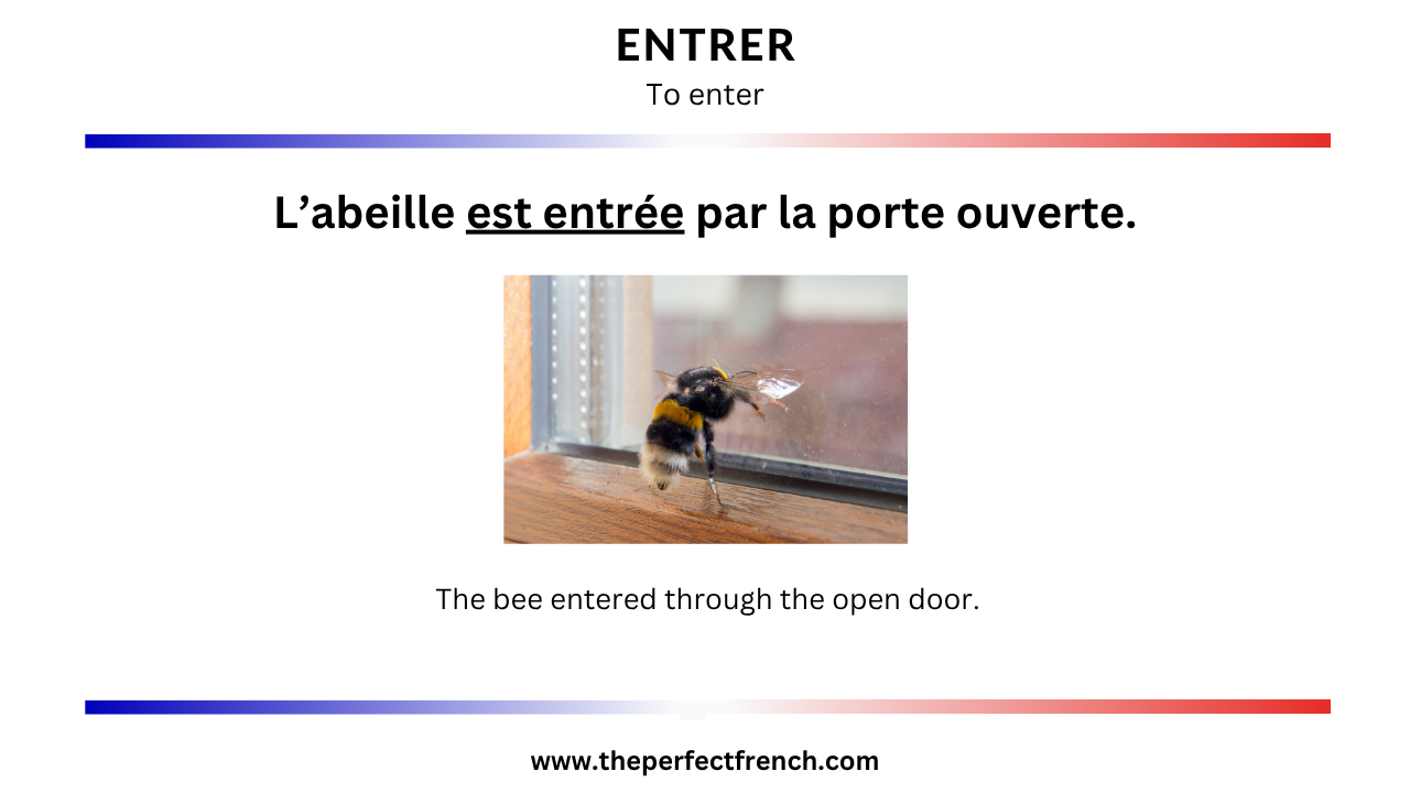French Word of the Day - Entrer (To Enter)